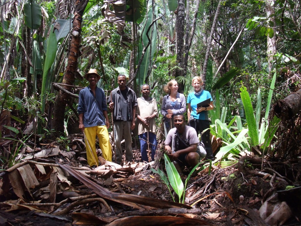 SEED Madagascar – Lemur Conservation Network