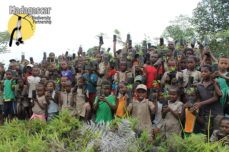 Madagascar Biodiversity Partnership (MBP) – Lemur Conservation Network