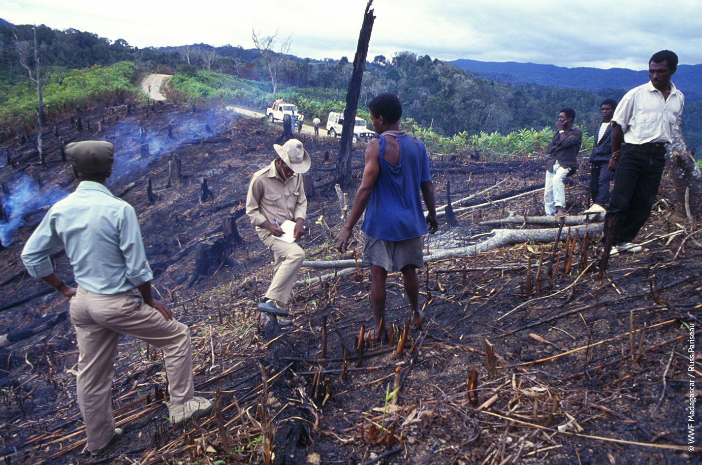 WWF Madagascar – Lemur Conservation Network