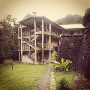Leading Conservation with Pascal Rabeson of Centre ValBio – Lemur ...