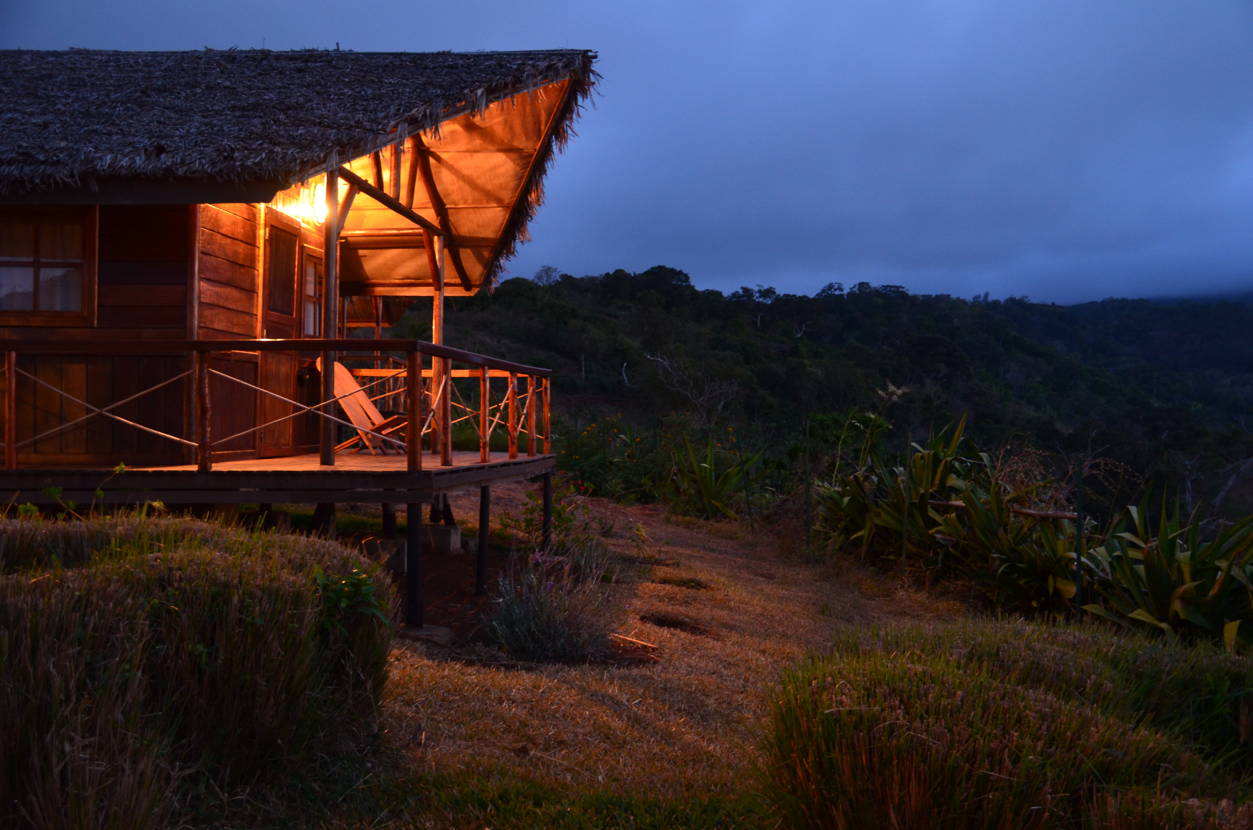 Travel – Lemur Conservation Network