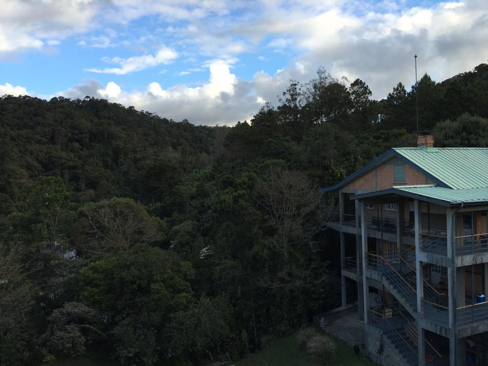 Leading Conservation with Pascal Rabeson of Centre ValBio – Lemur ...