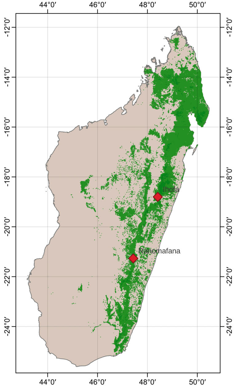 Black-and-white ruffed lemur Archives – Lemur Conservation Network