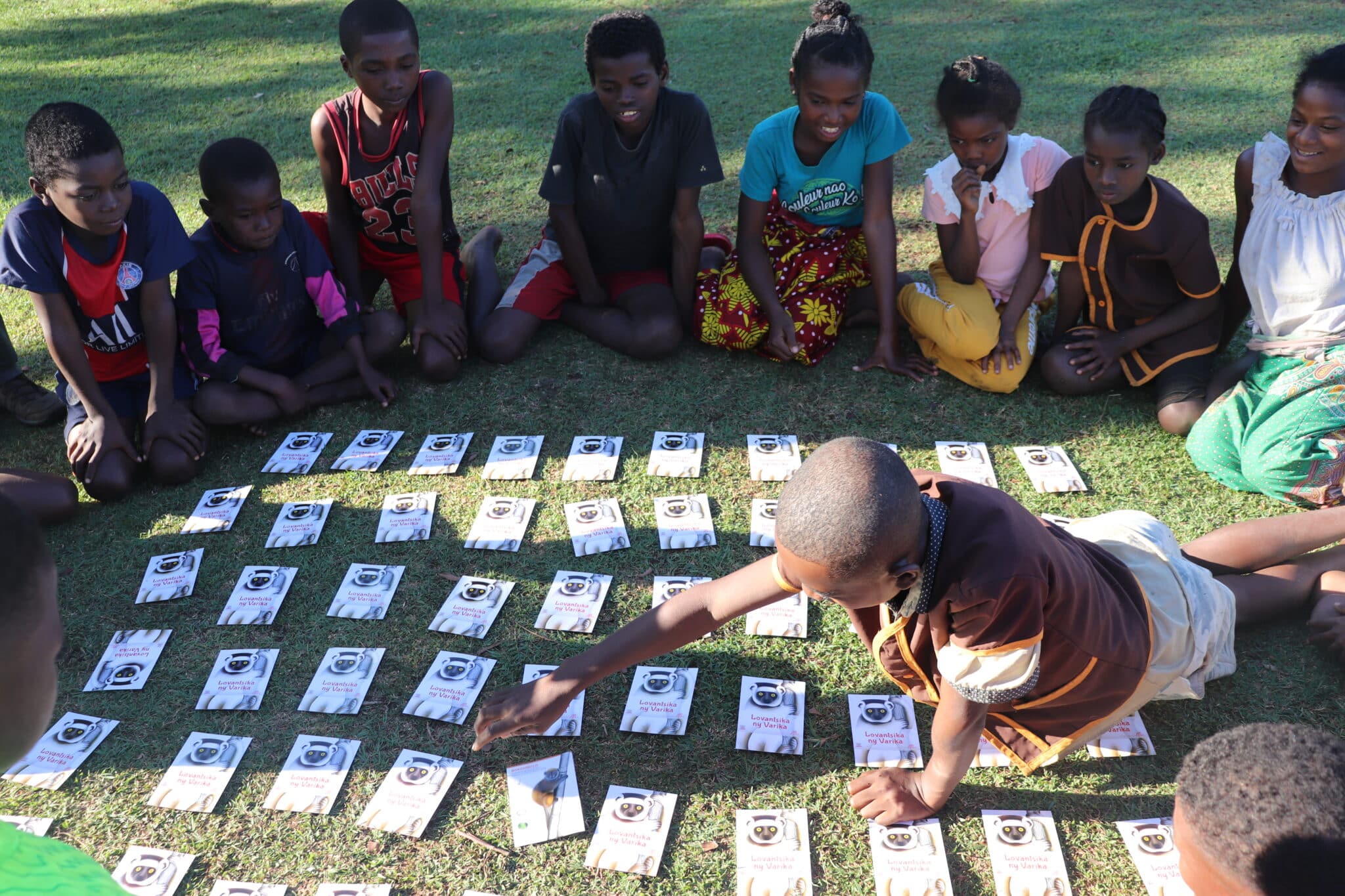 Lemurs! Card Games – Lemur Conservation Network