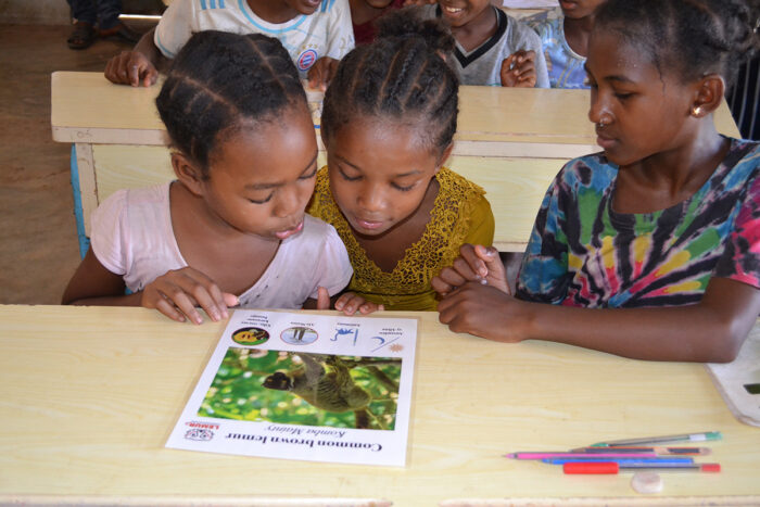 A Summer of Learning about Lemurs Across Madagascar – Lemur ...