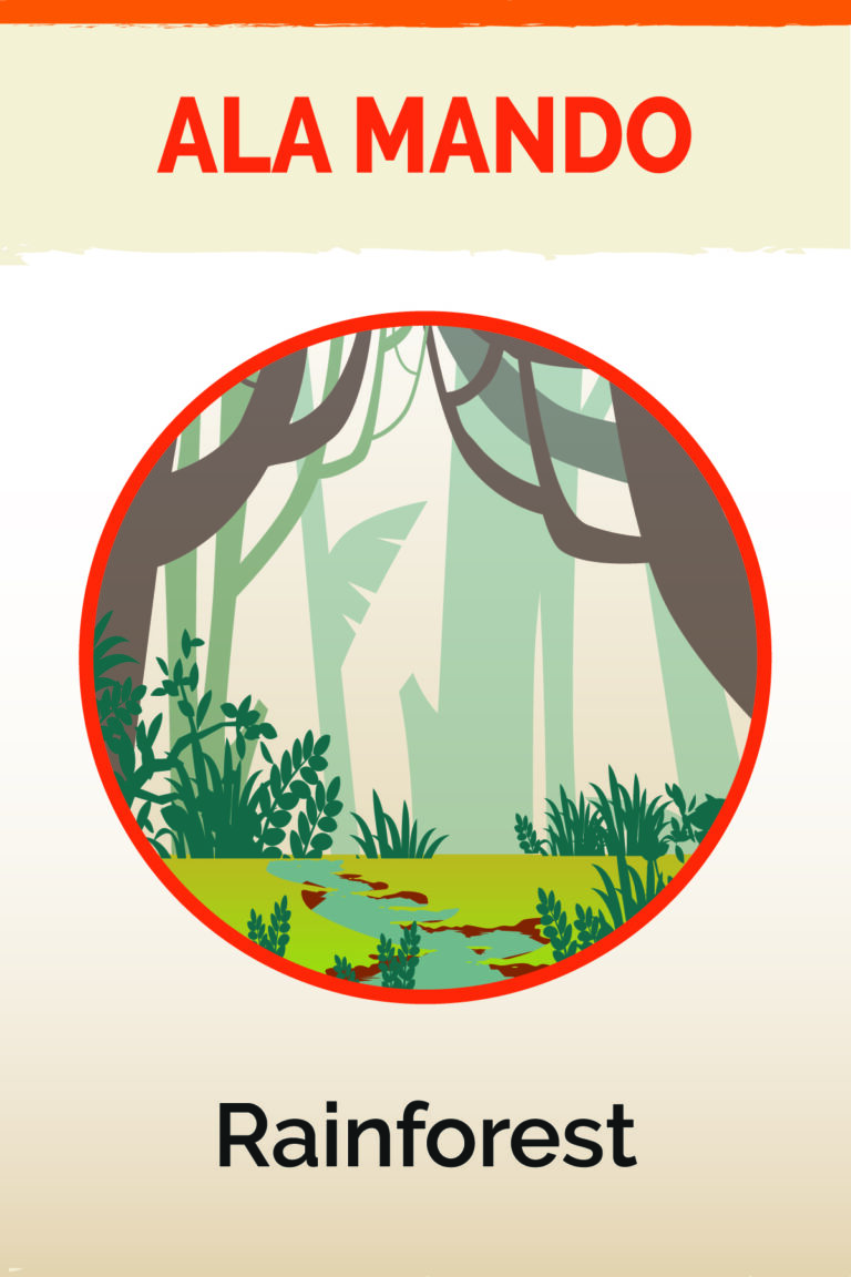 Lemurs! Card Games – Lemur Conservation Network