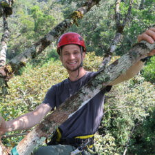 Learn about Lemurs – Lemur Conservation Network