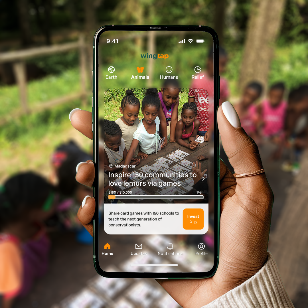 Support Conservation in Madagascar with Wingtap – Lemur Conservation Network