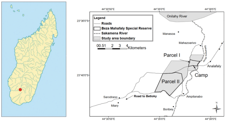 Research and Tourism in Beza Mahafaly Special Reserve – Lemur ...